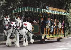 Bellair Tours and Adventures - Bellingham Seattle WA Tours